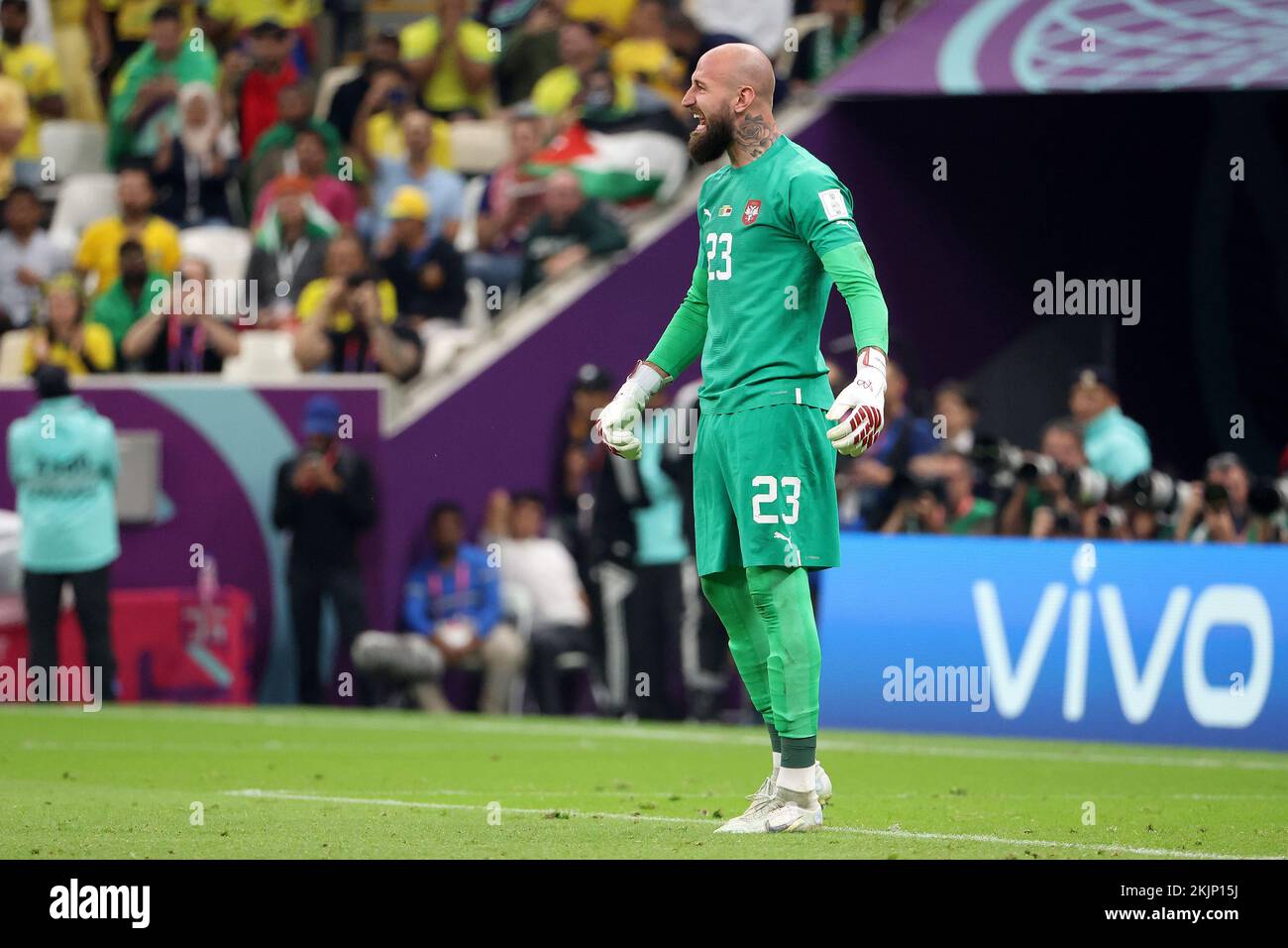 November 24, 2022, Rome, Qatar: Serbia goalkeeper Vanja Milinkovic ...