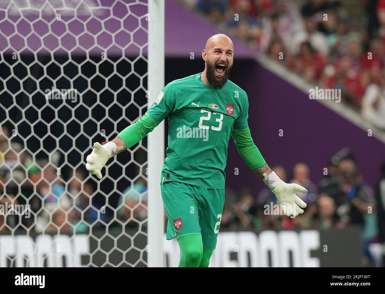 Serbias goalkeeper vanja milinkovic savic hi-res stock photography and ...