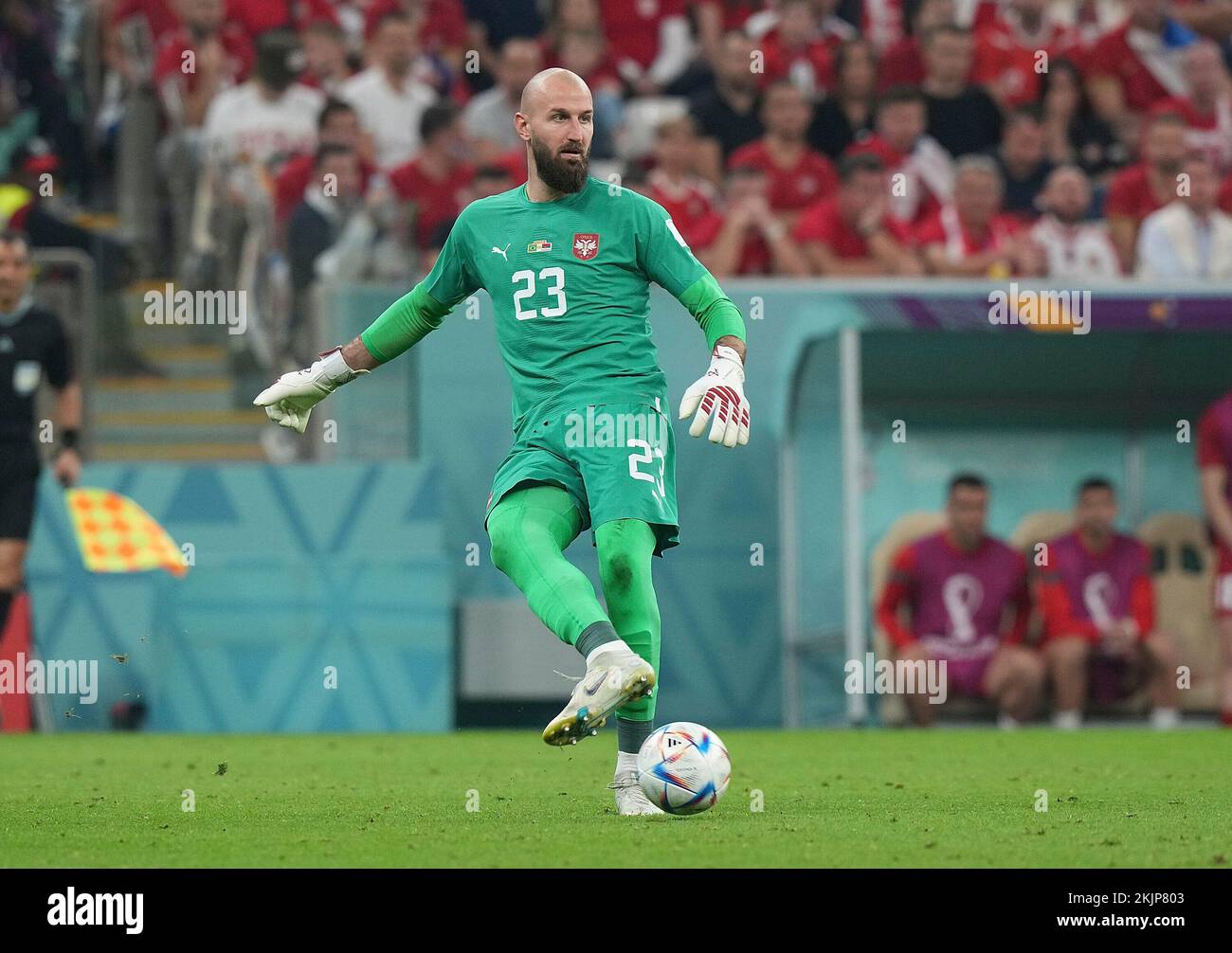 Serbias goalkeeper vanja milinkovic savic hi-res stock photography and ...