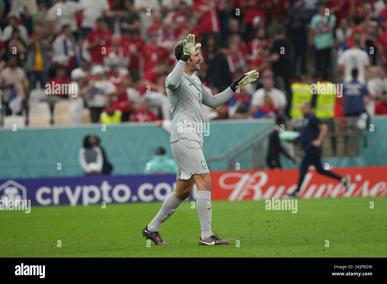 November 24th, 2022, Khalifa International Stadium, Doha, QAT, World ...