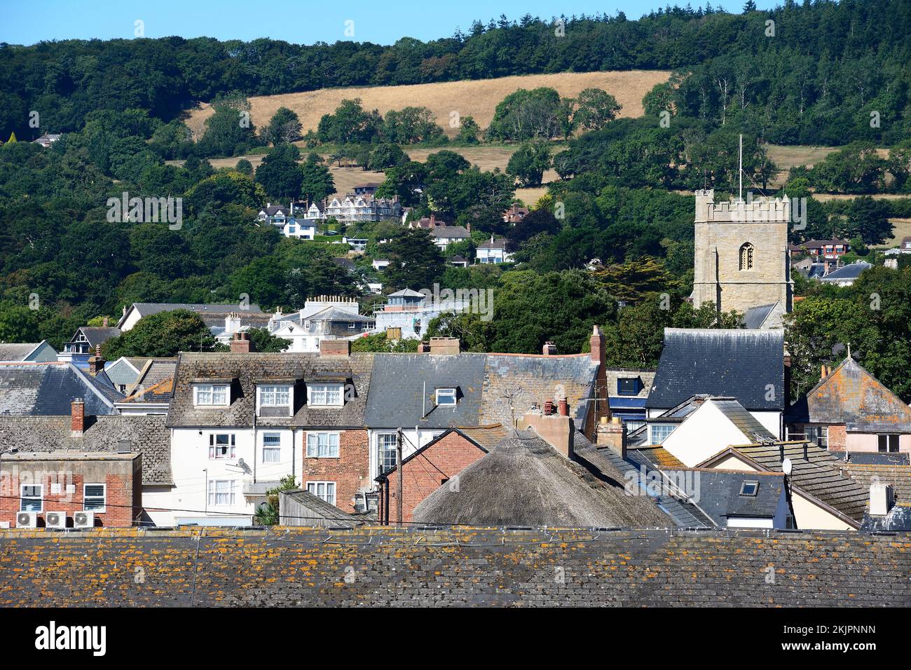 Elevated view over the town rooftops with the Devon countryside to the ...