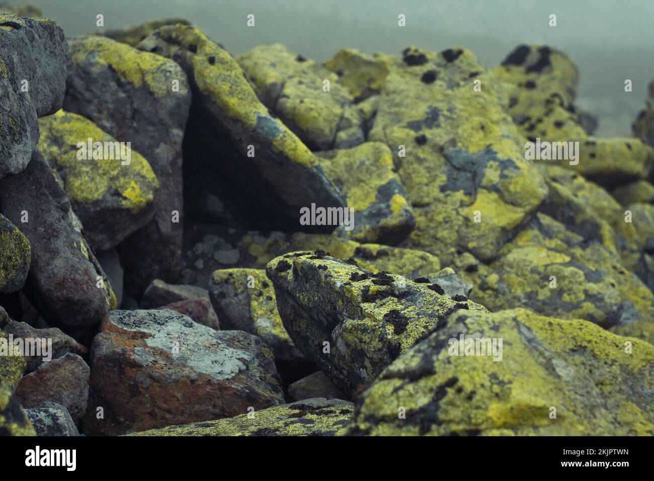 Big stones covered with moss landscape photo Stock Photo - Alamy