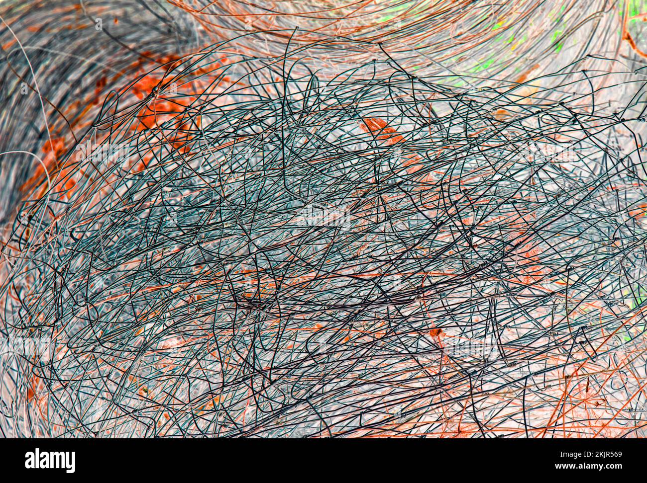 Abstract picture - tangled wire forest fence. Mesh, tangles of tattered ...