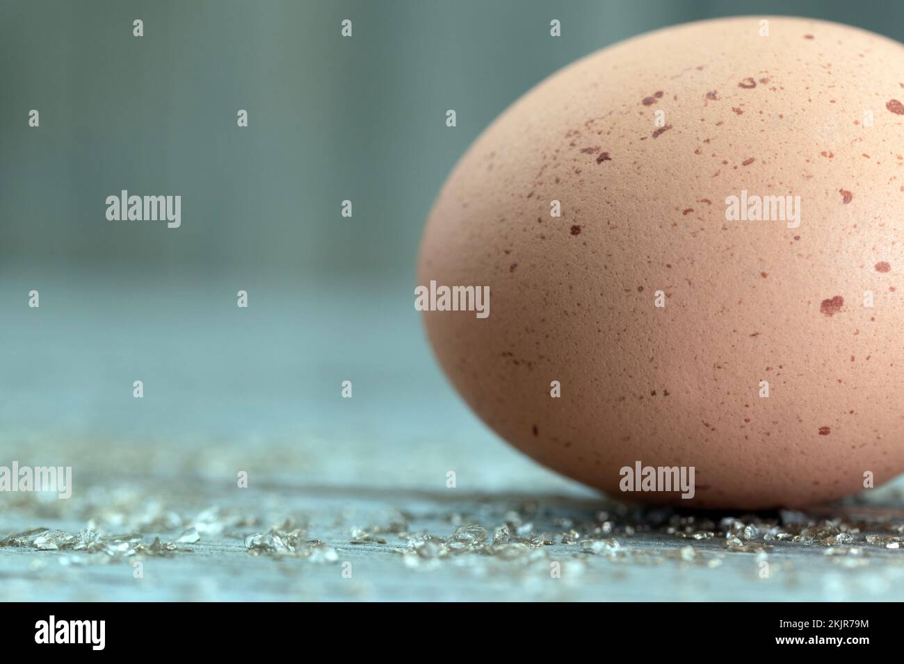 Speckled egg hi-res stock photography and images - Alamy