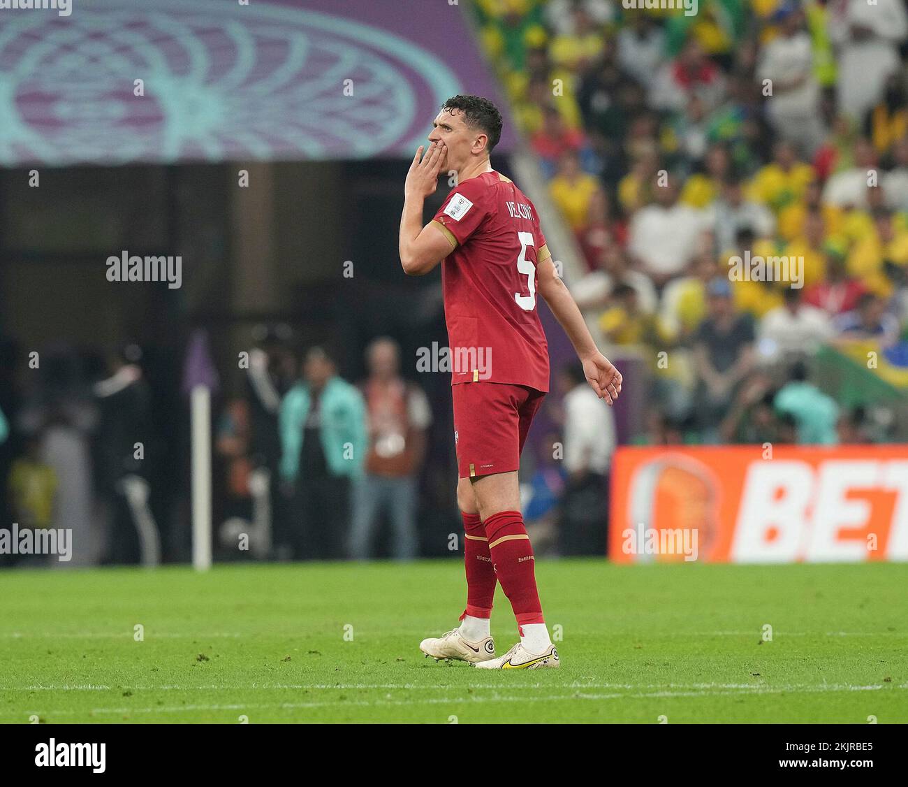 11/24/2022, Khalifa International Stadium, Doha, QAT, World Cup FIFA ...