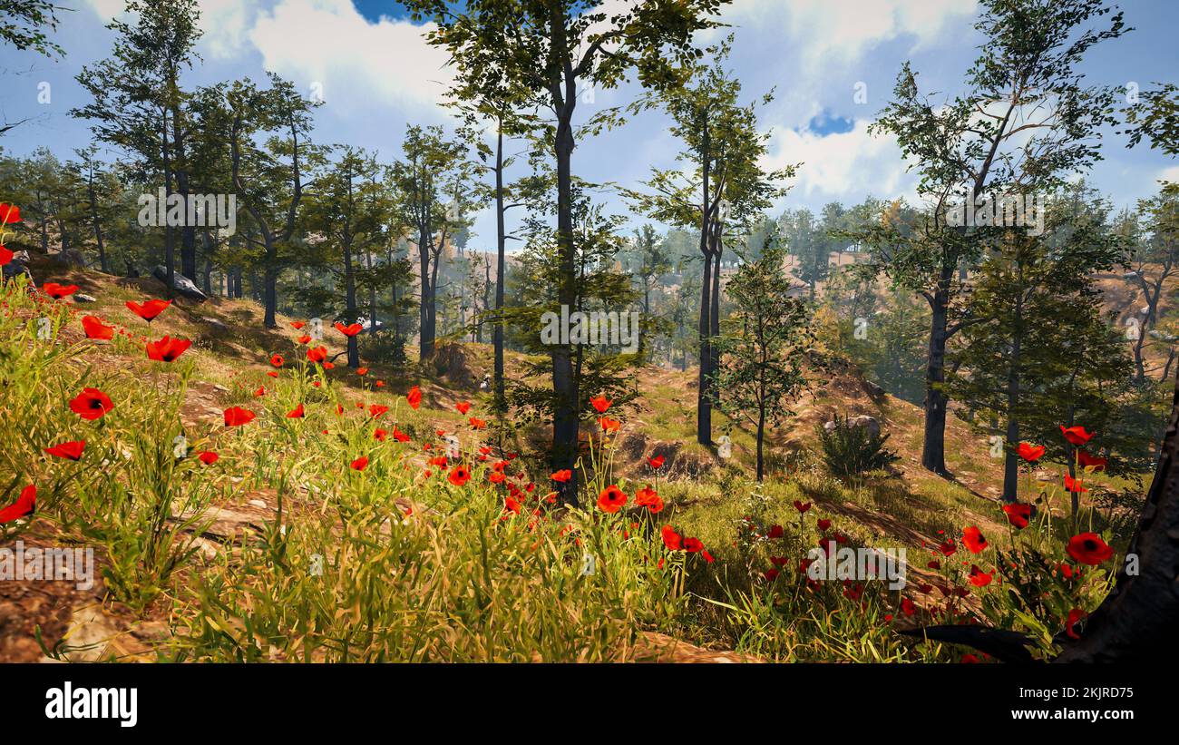 3D rendering. An immersive natural environment. Landscape to illustrate ...