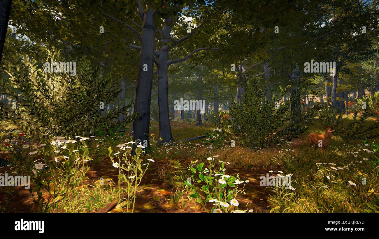 3D rendering. An immersive natural environment. Landscape to illustrate ...