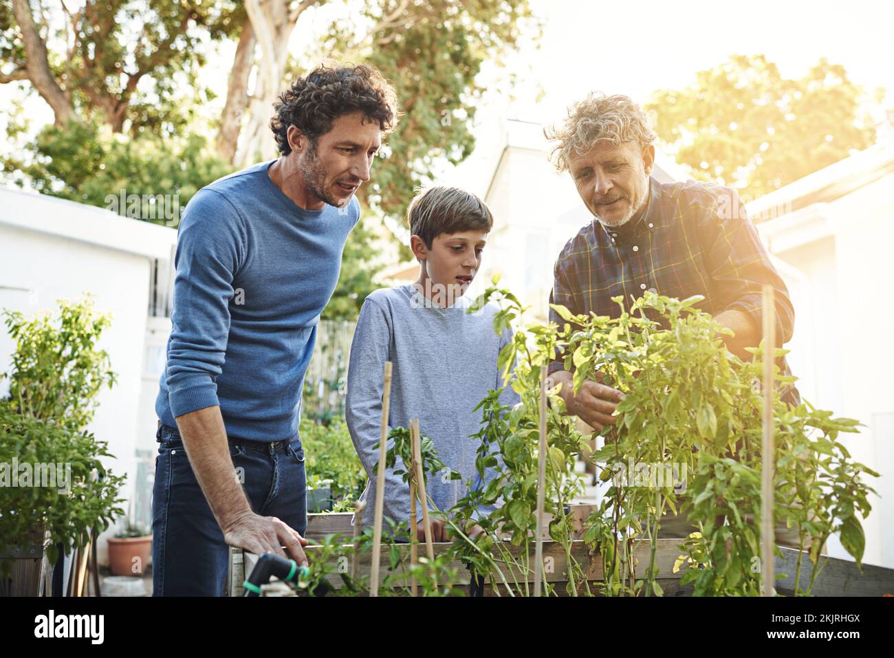 Three generations of gardeners. A young boy gardening with his father ...