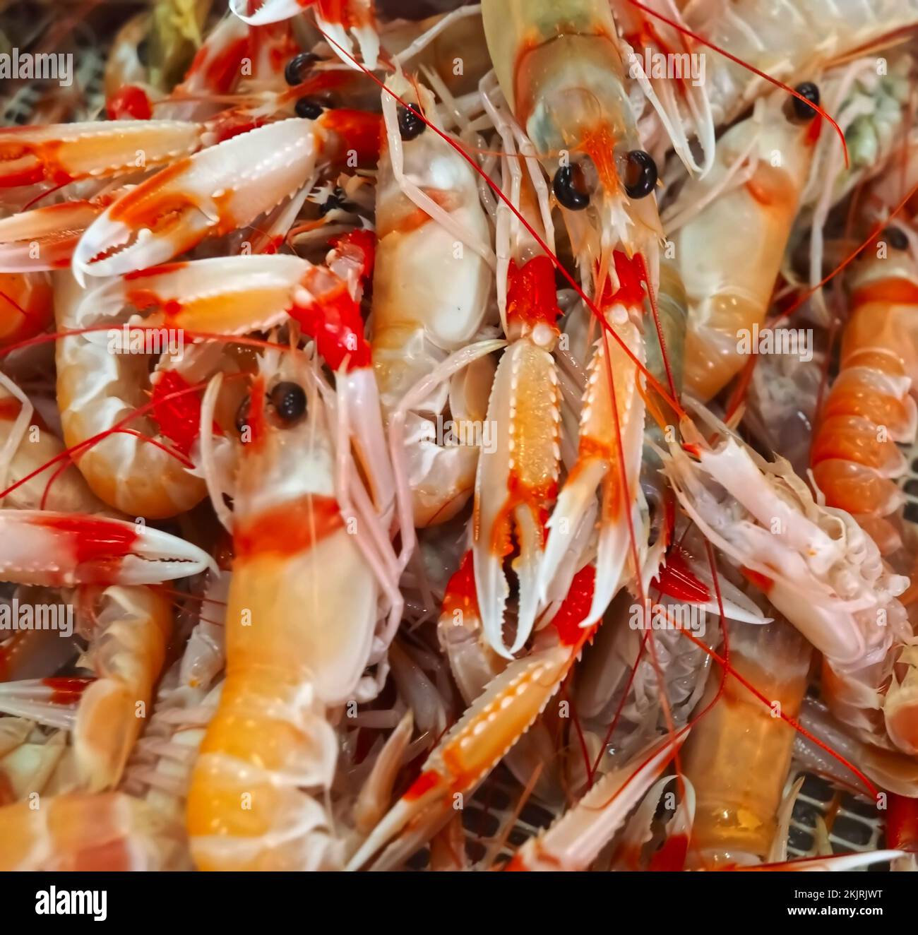 Raw fresh shrimps at a fish market Stock Photo - Alamy