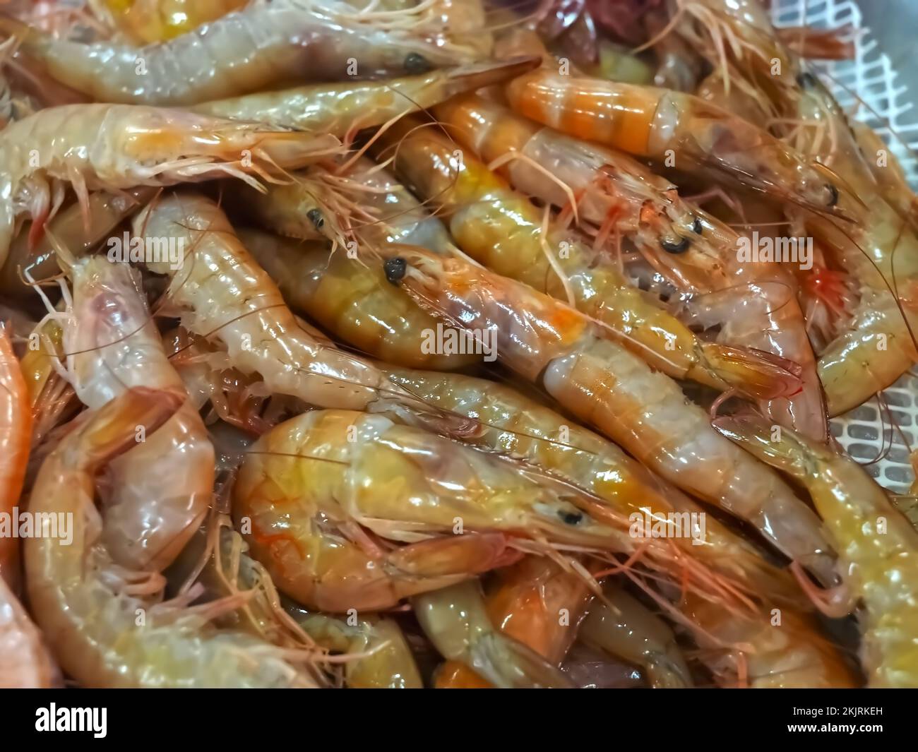 Fresh raw seafood hi-res stock photography and images - Alamy