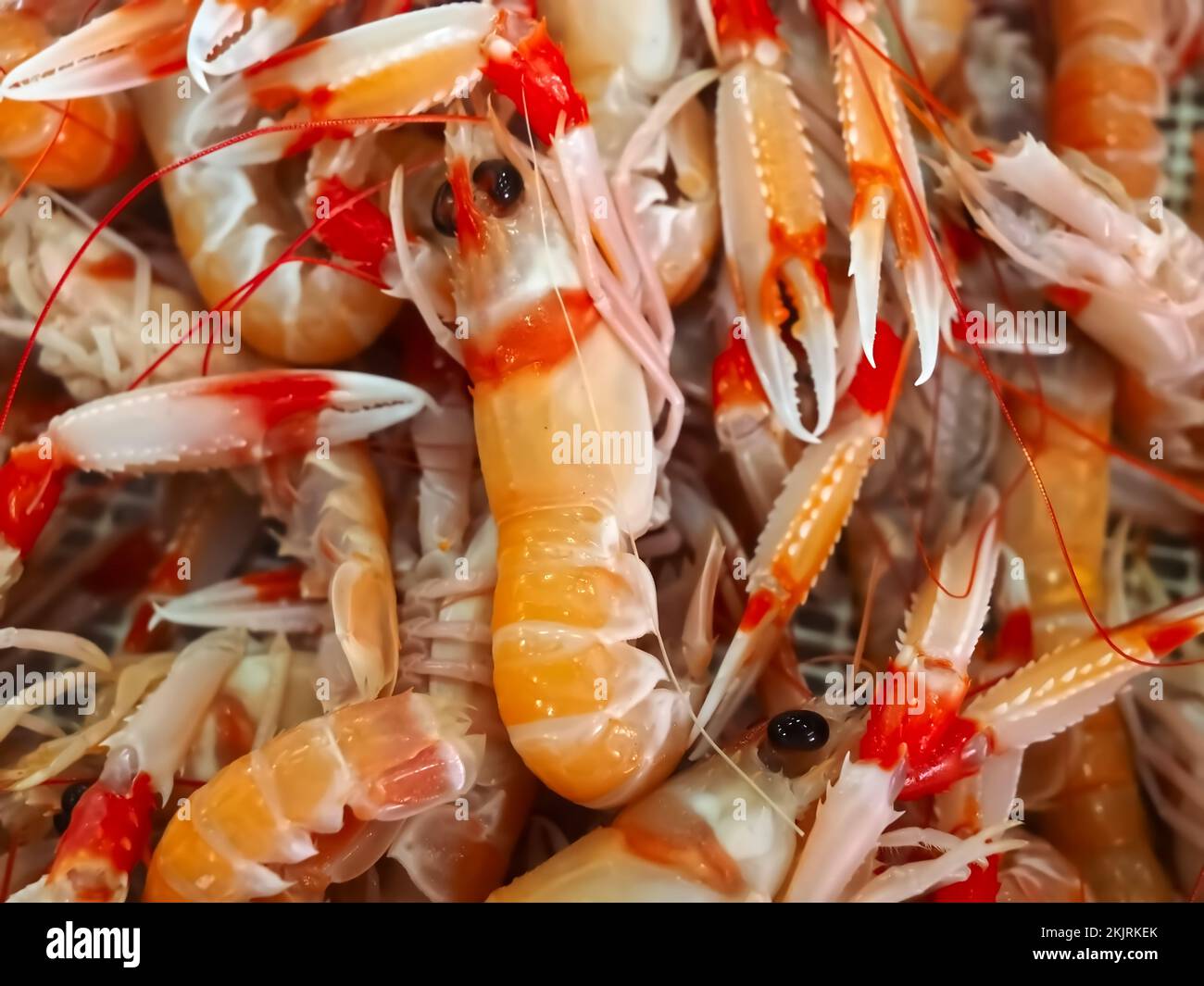 Raw fresh shrimps at a fish market Stock Photo - Alamy