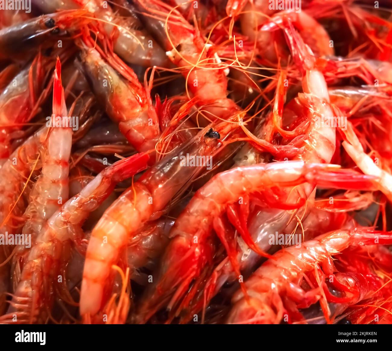 Large showcase shrimp fish hi-res stock photography and images - Alamy