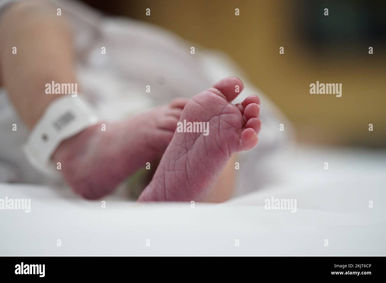 Newborn baby foot with identification bracelet in the hospital Stock ...