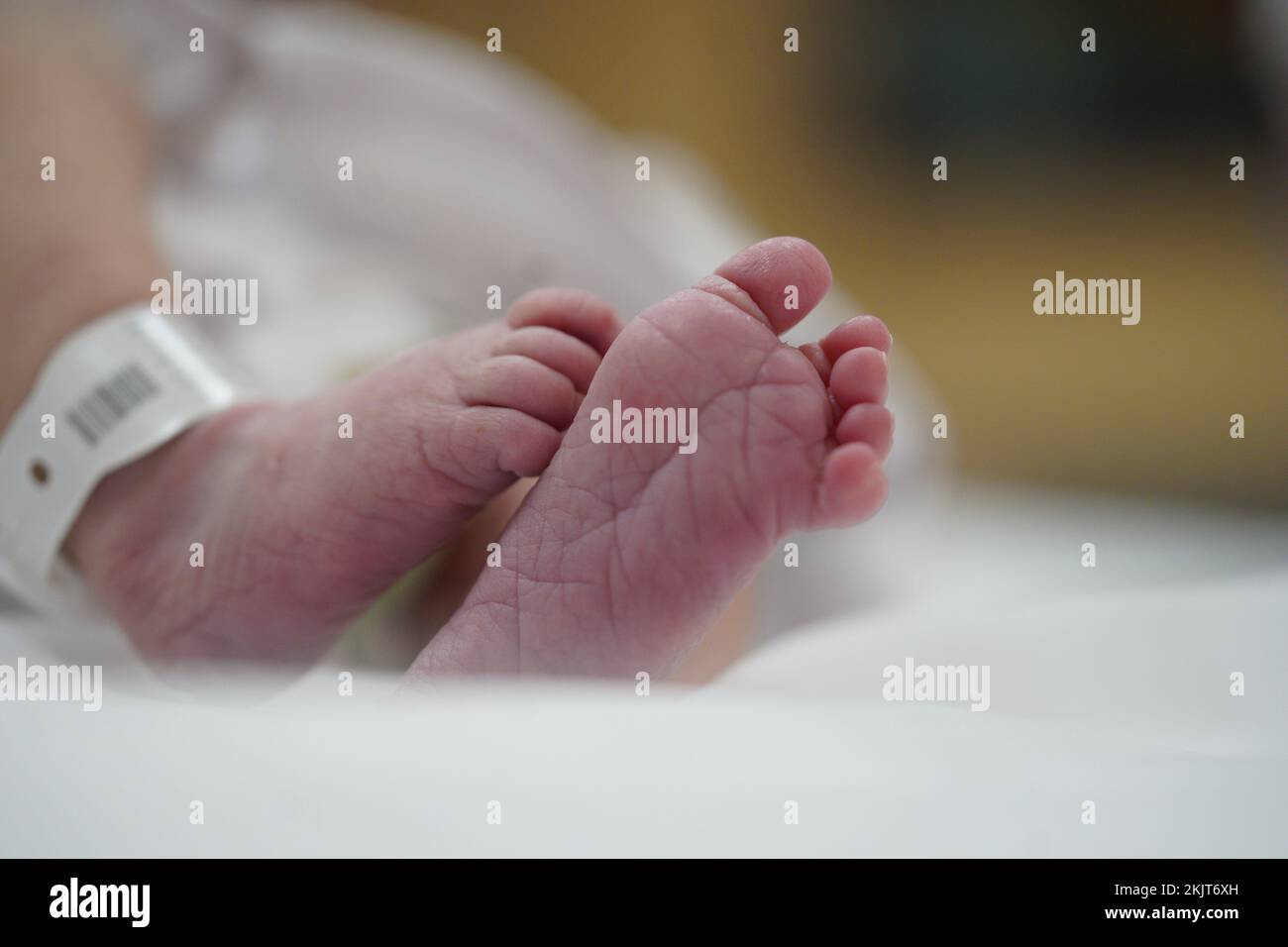 Newborn baby foot with identification bracelet in the hospital Stock ...