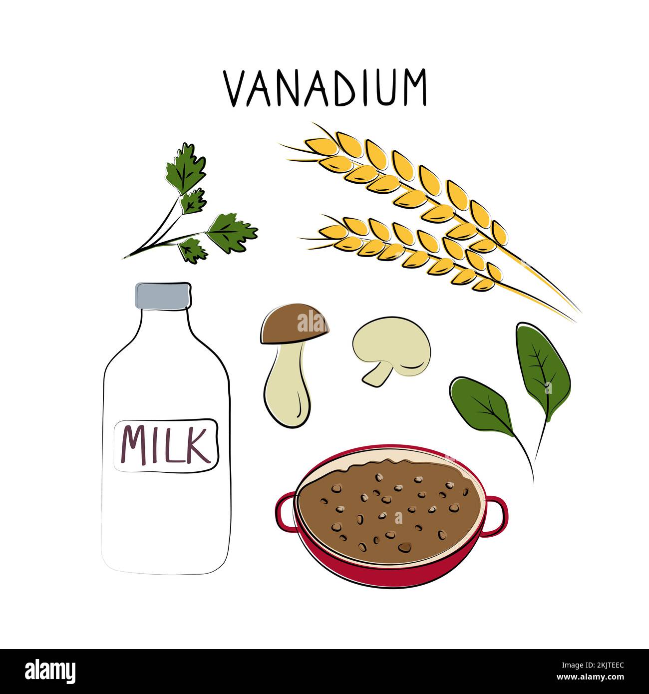 Vanadium-containing food. Groups of healthy products containing ...