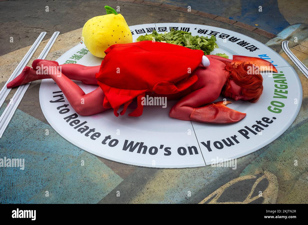 Taipei. 25th Nov, 2022. An PETA animal rights activist painted red and ...