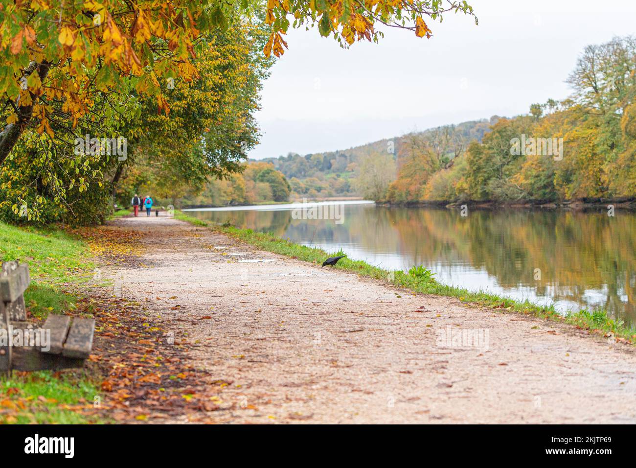 River Dart, Totnes, Devon, UK Stock Photo - Alamy