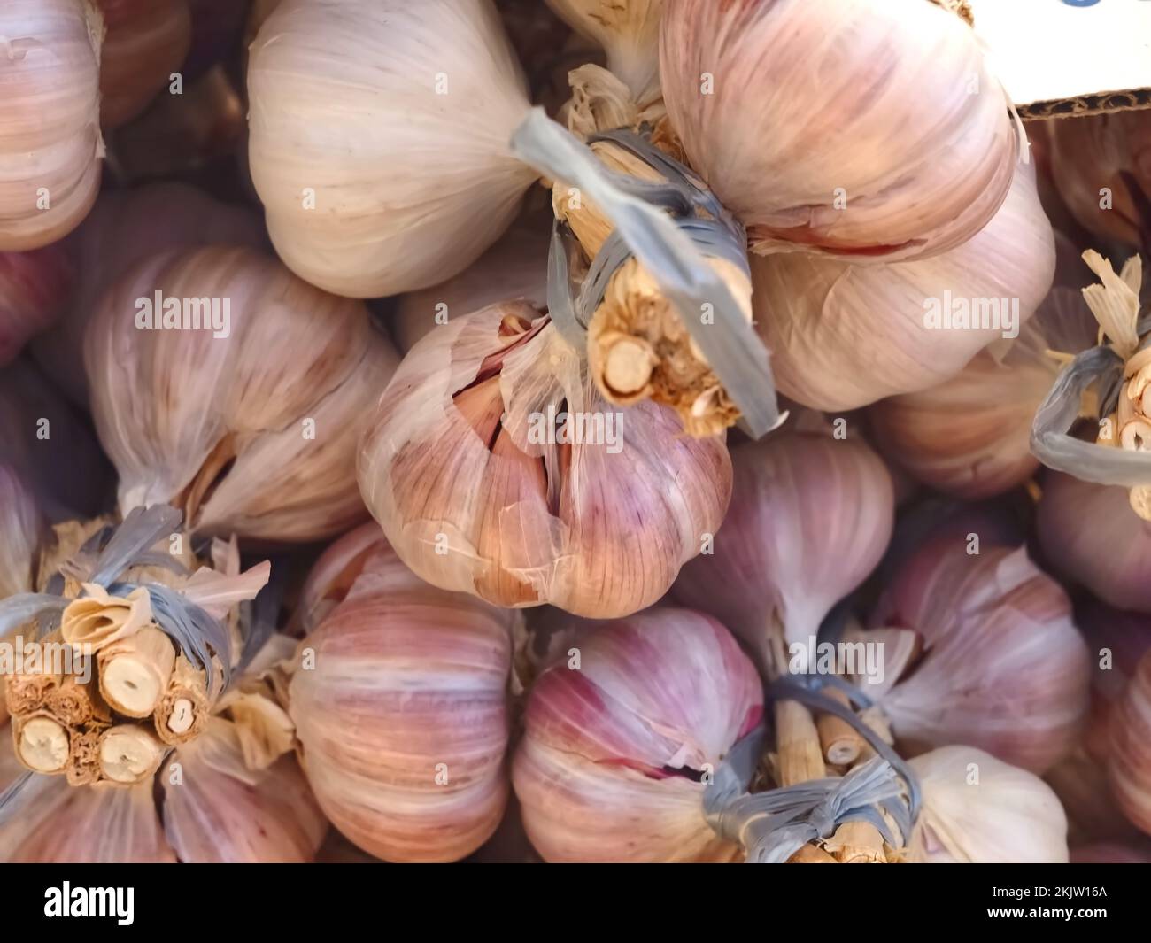 Smelling produce farmer market hi-res stock photography and images - Alamy