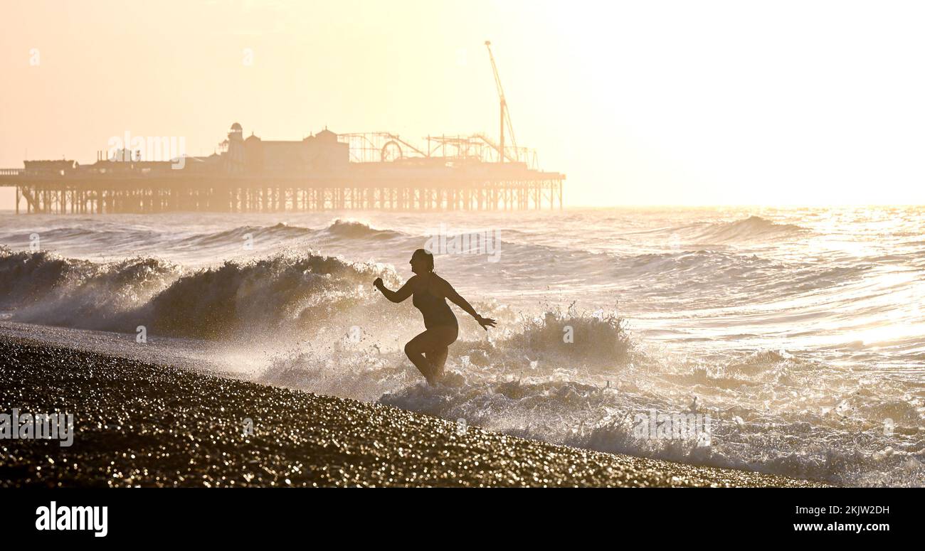 Sea swinmmer hi-res stock photography and images - Alamy
