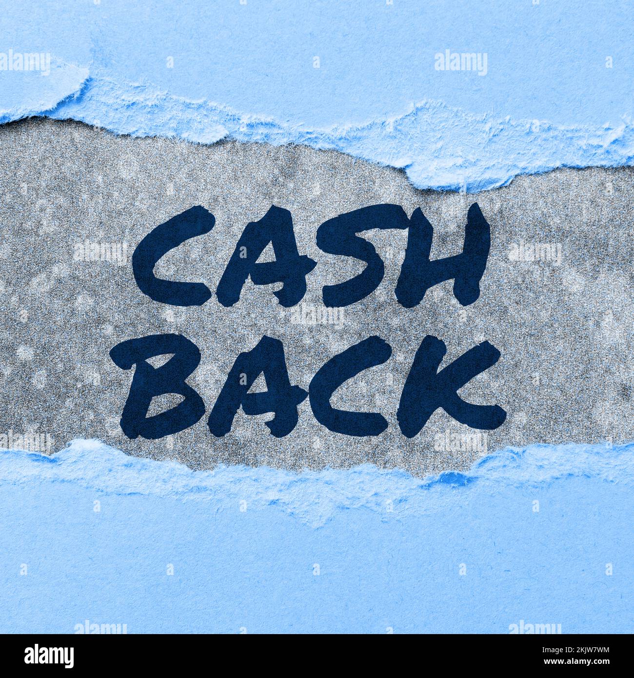 Conceptual caption Cash Back. Business overview incentive offered ...