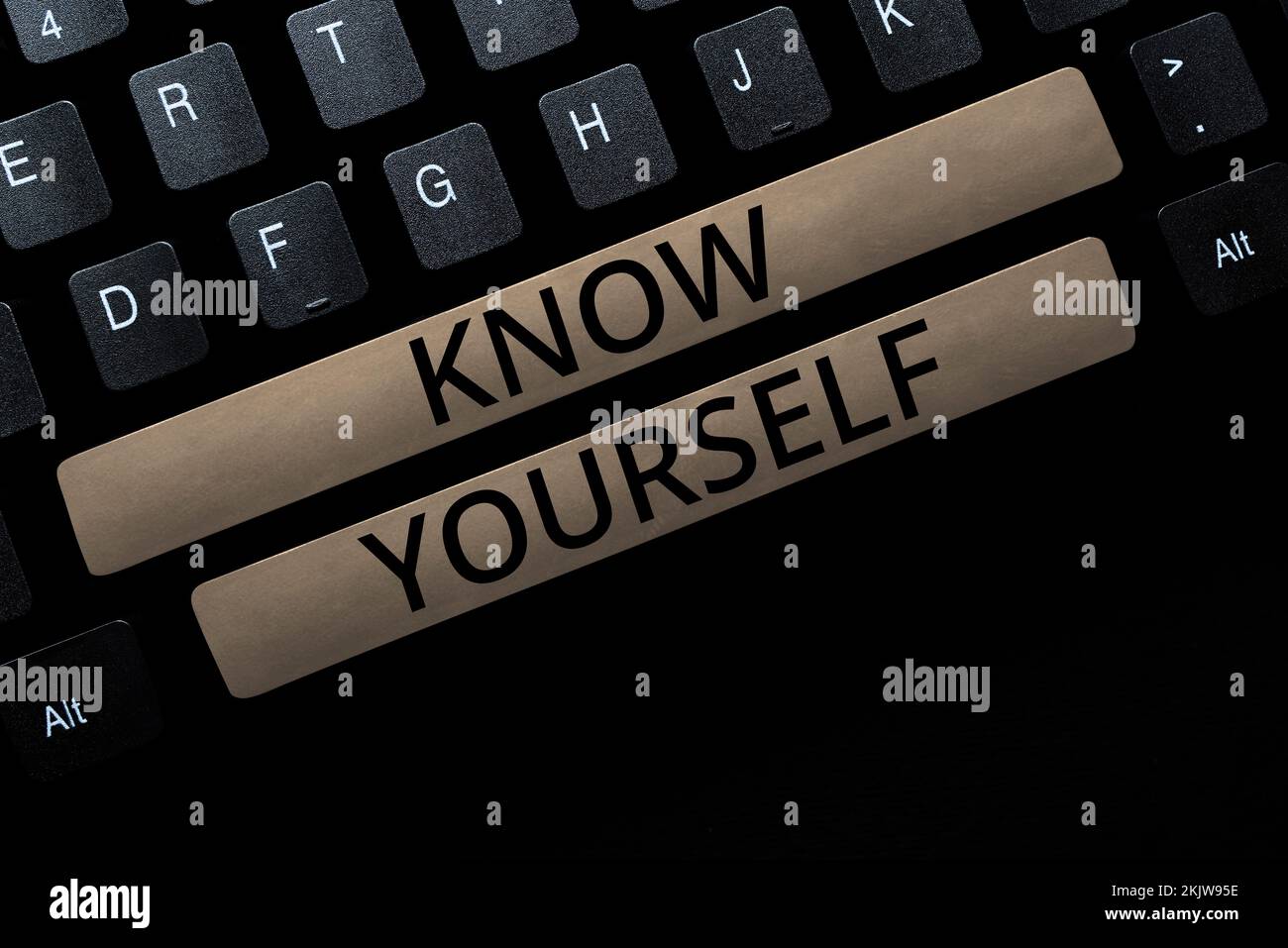 Conceptual display Know Yourself. Business overview Find You ...