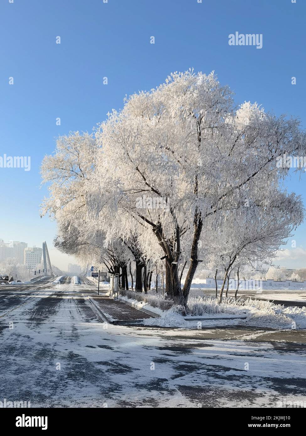 The magnificent rime views in Mohe City, northeast China's Heilongjiang ...