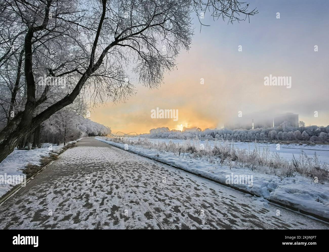 The magnificent rime views in Mohe City, northeast China's Heilongjiang ...