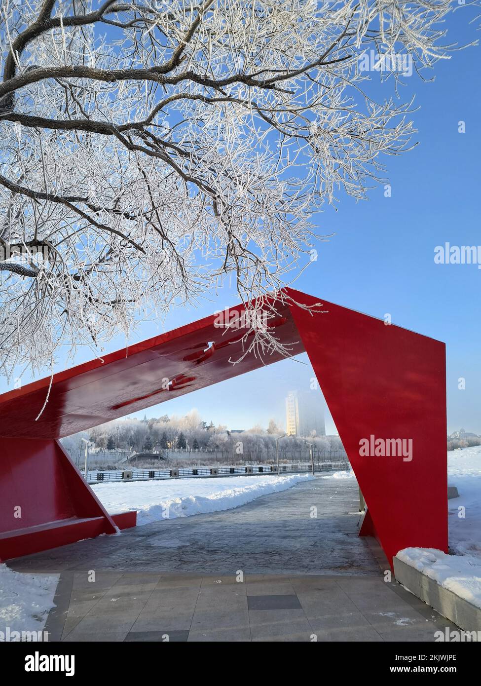 The magnificent rime views in Mohe City, northeast China's Heilongjiang ...