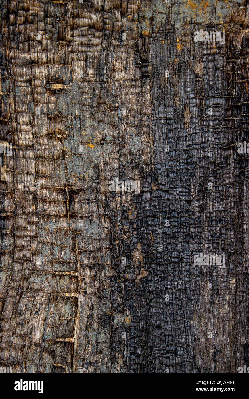 Old rough and burned wooden texture background Stock Photo - Alamy