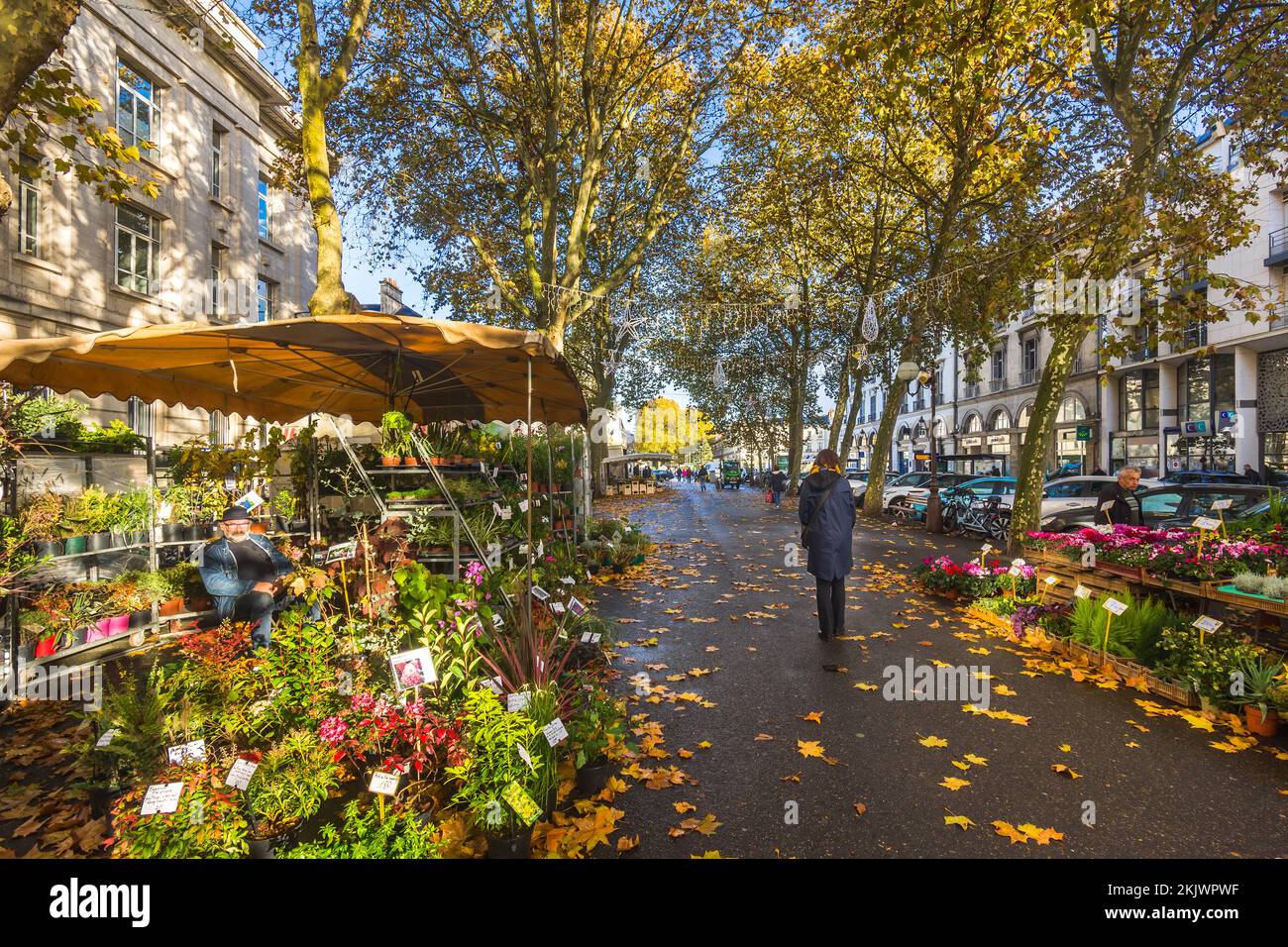 Tours france flower market hi-res stock photography and images - Alamy