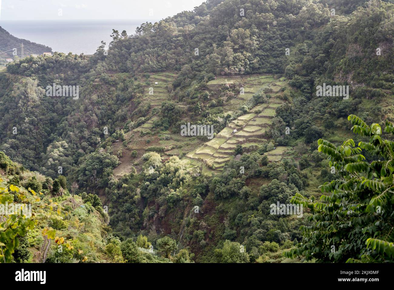 Steep slope vegetation hi-res stock photography and images - Alamy