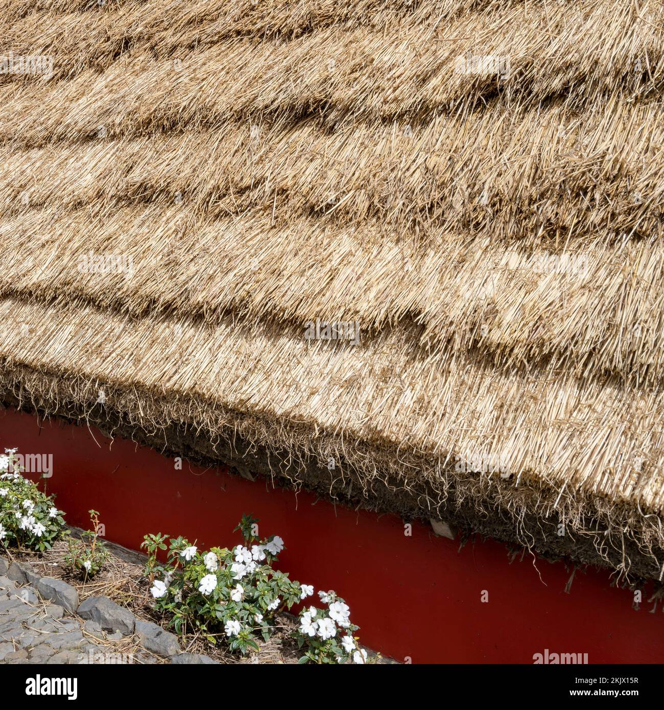 detail of straw-roof straw at reproduction of typical farmer cottage ...