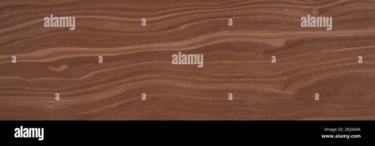 Brown Root Exotic wood panel texture pattern Stock Photo - Alamy