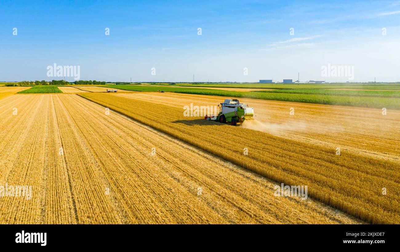 Aerial view over agricultural harvester, combine as he cutting and ...