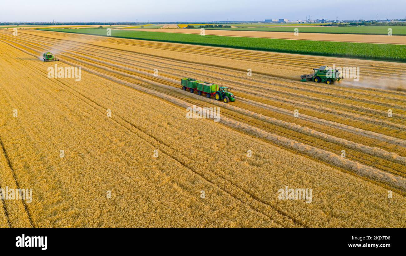 Aerial view over two agricultural harvesters, combines as they cutting ...