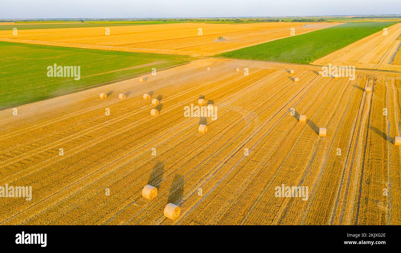Above view, over several agricultural plots in harvest time, season ...