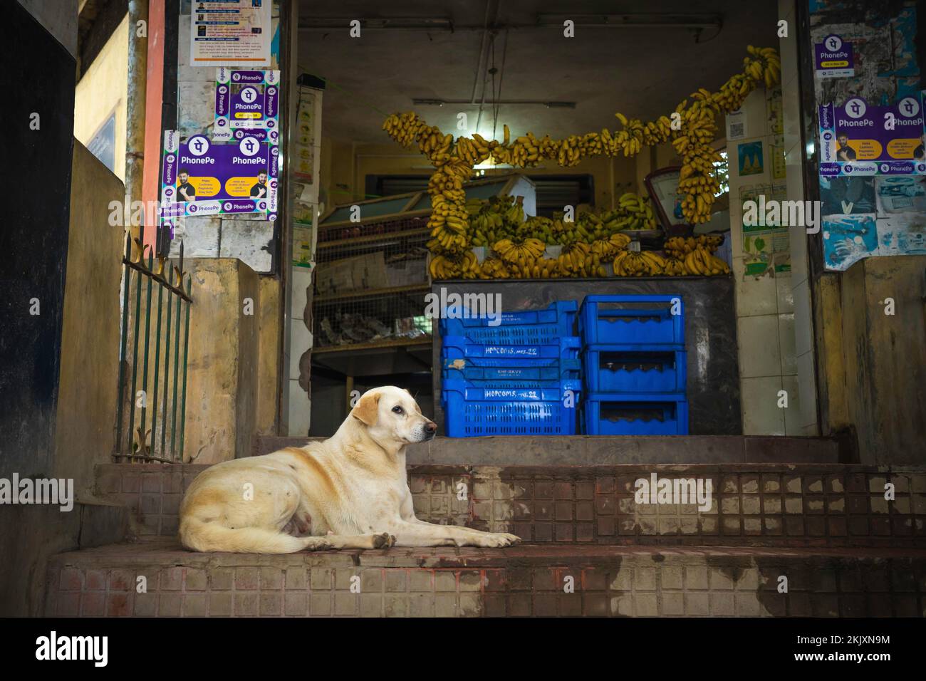Indian street life style at Mysore city 17 September 2022 Stock Photo ...