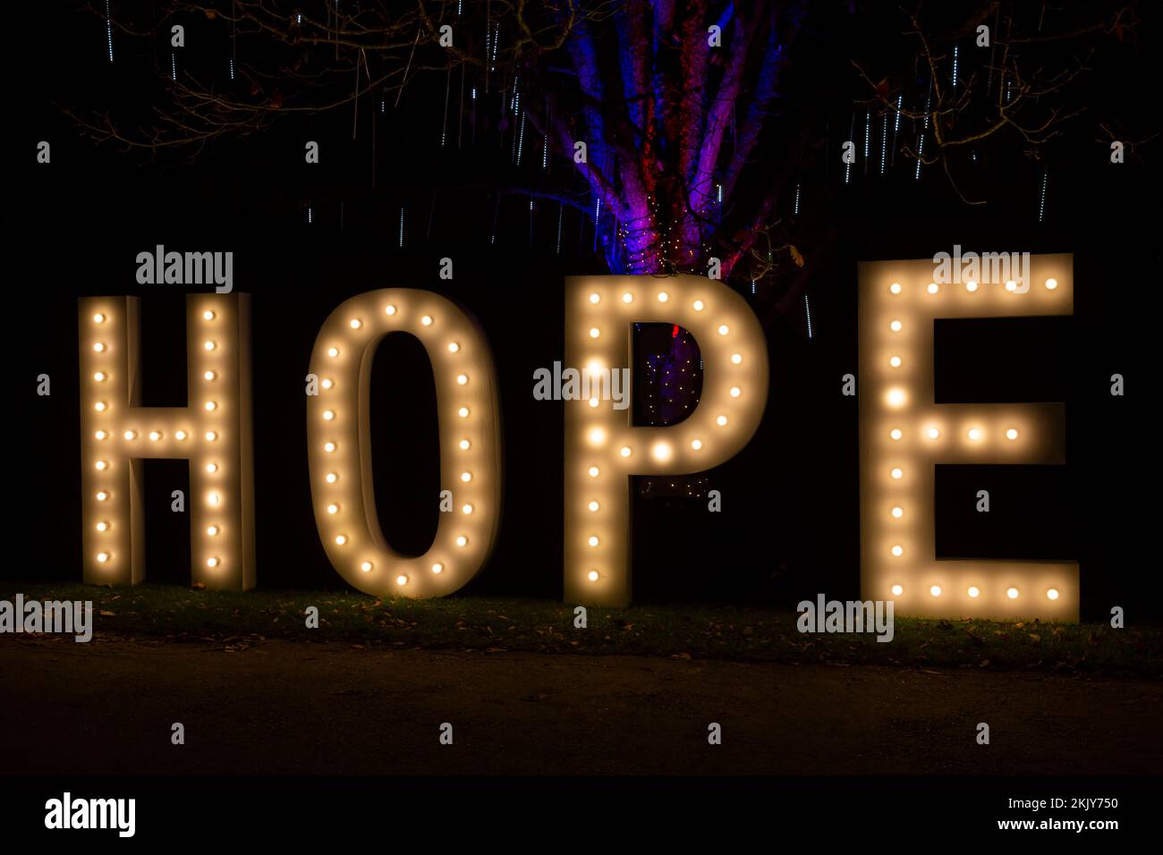 Hope - Light Up Trails at Sir Harold Hillier Gardens in Romsey ...