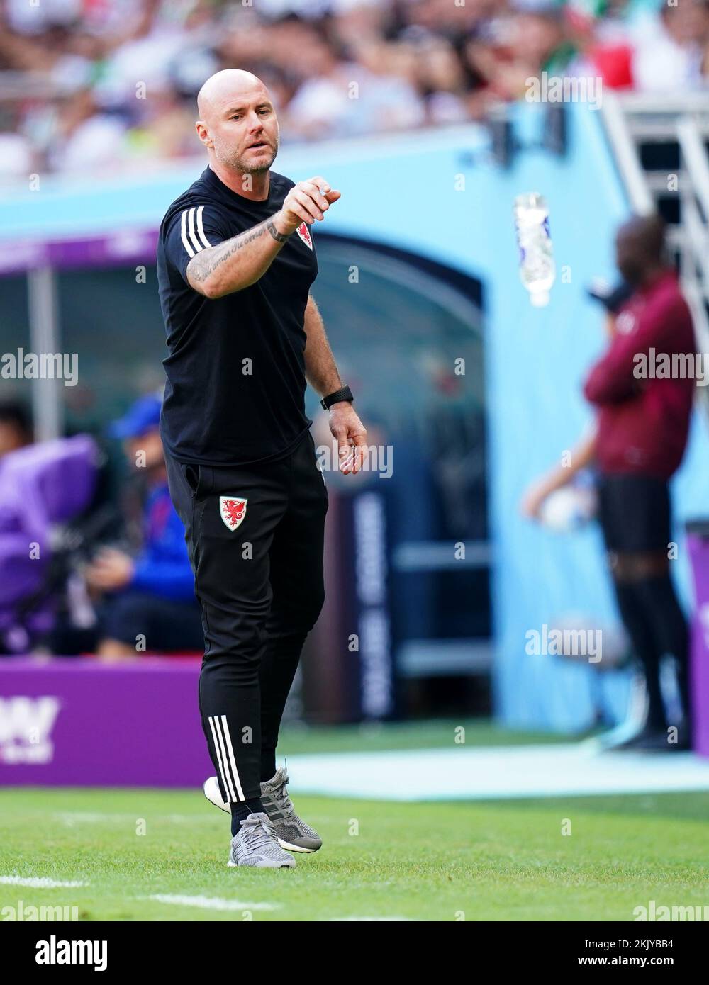 Wales manager Rob Page throws a water bottle during the FIFA World Cup ...