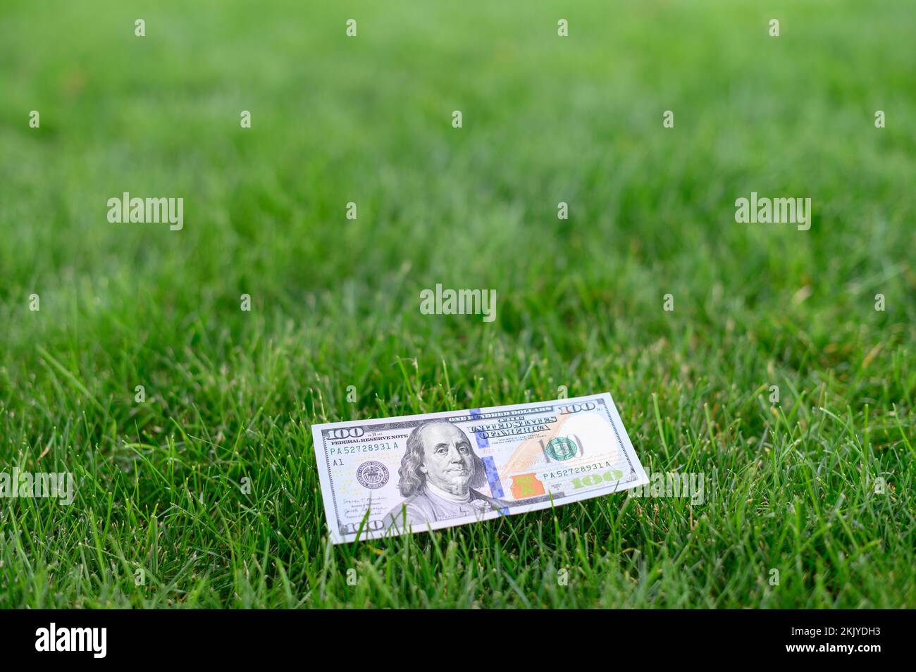 Tropical rain drops falling onto the surface of a swimming pool Stock ...