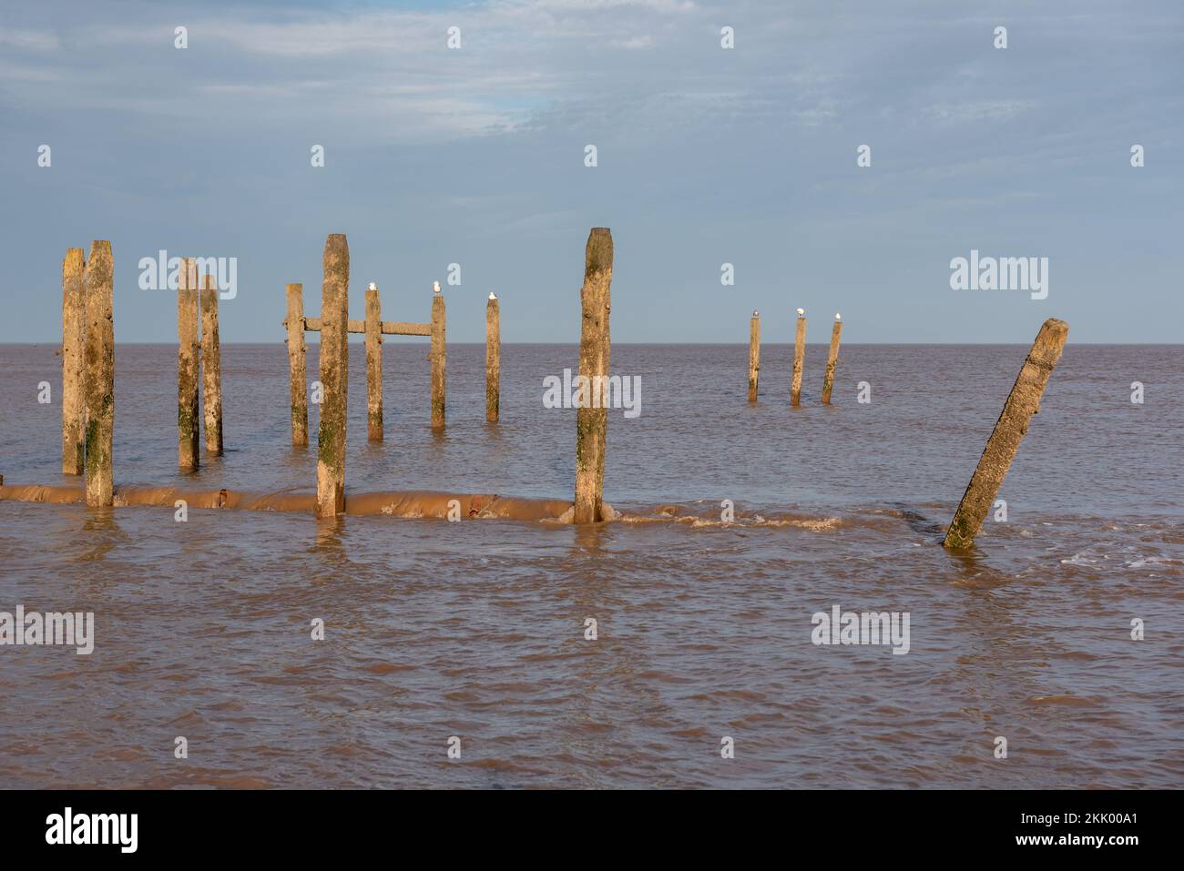 Wooden sea defences hi-res stock photography and images - Alamy