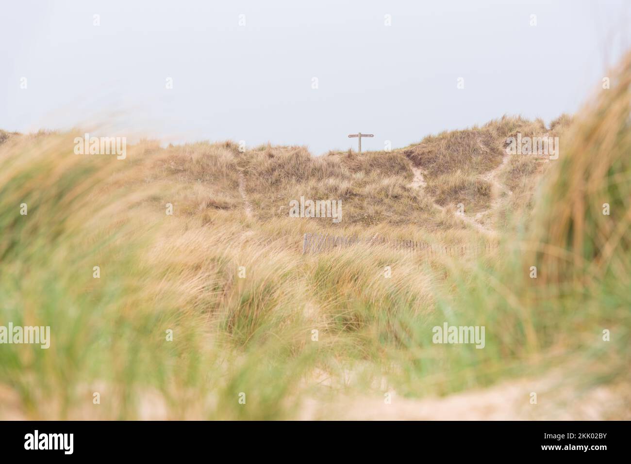 Winterton dunes, Norfolk i with Norfolk Coast path sign. Winterton, May ...