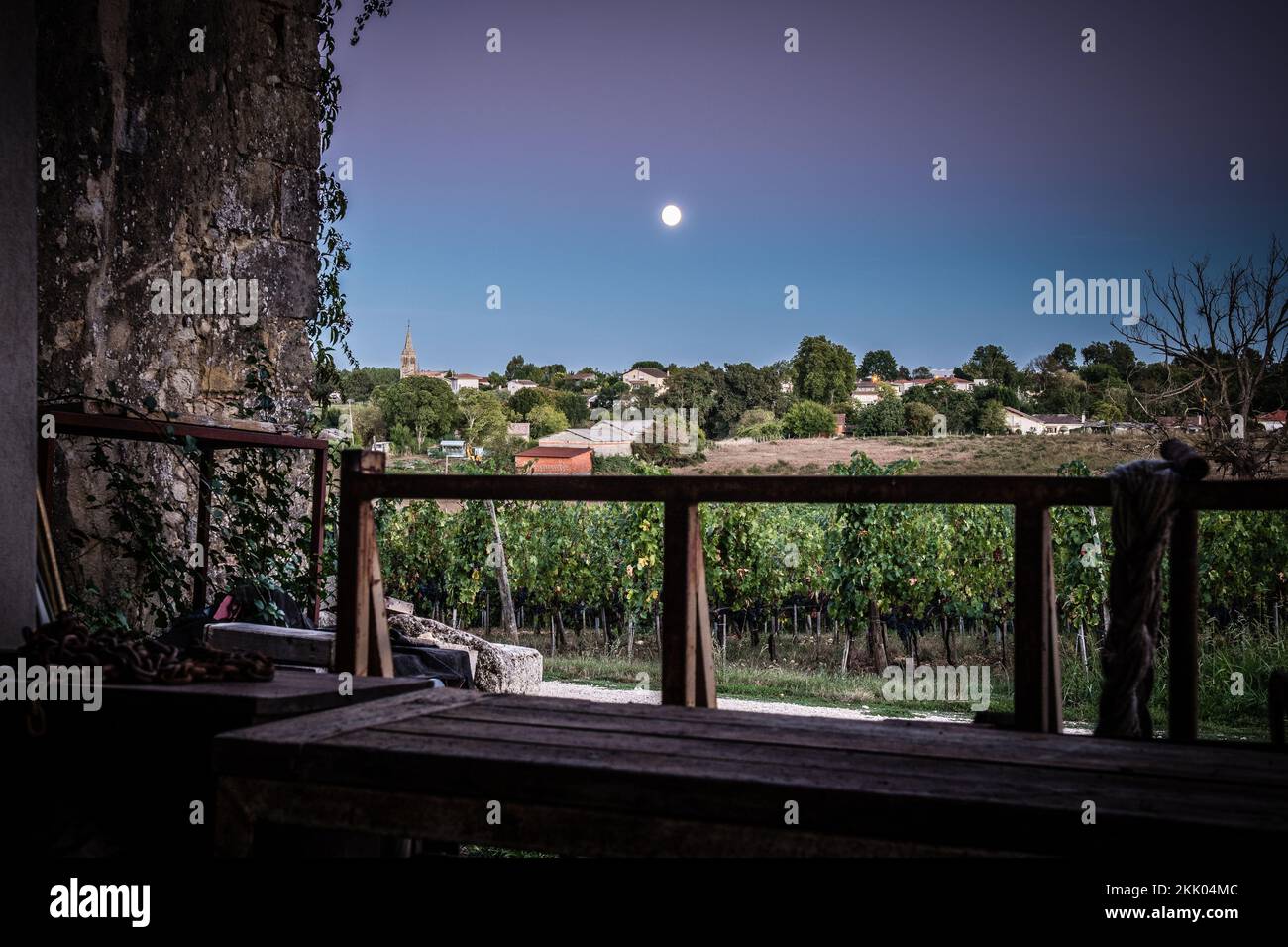 View from old barn of the grape vines stand ripening grapes in the ...