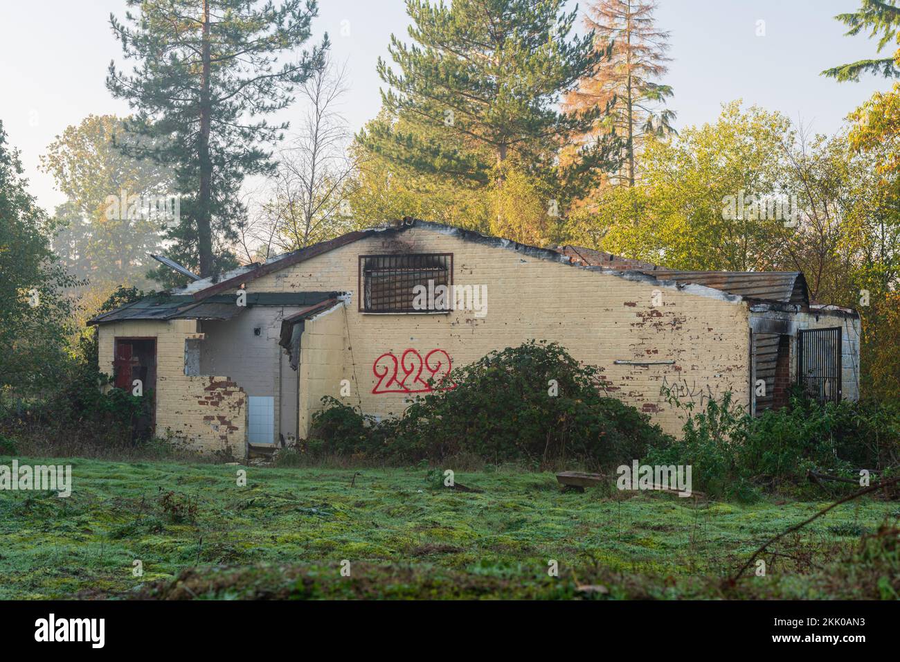 A misty autumn morning in Thorpe woods, Norwich, Norfolk xiv derelict ...