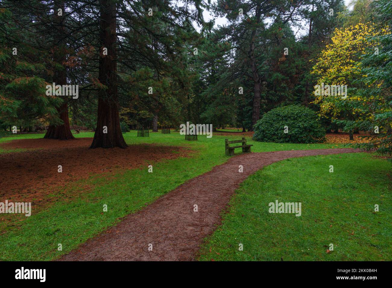 Lynford Artboretum with path leading through and bench. Lynford ...