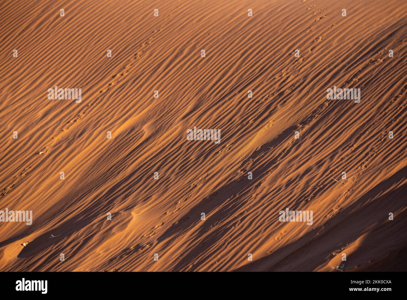 Patterns in the sand dunes of the Namib Desert at sunrise, in Namibia ...