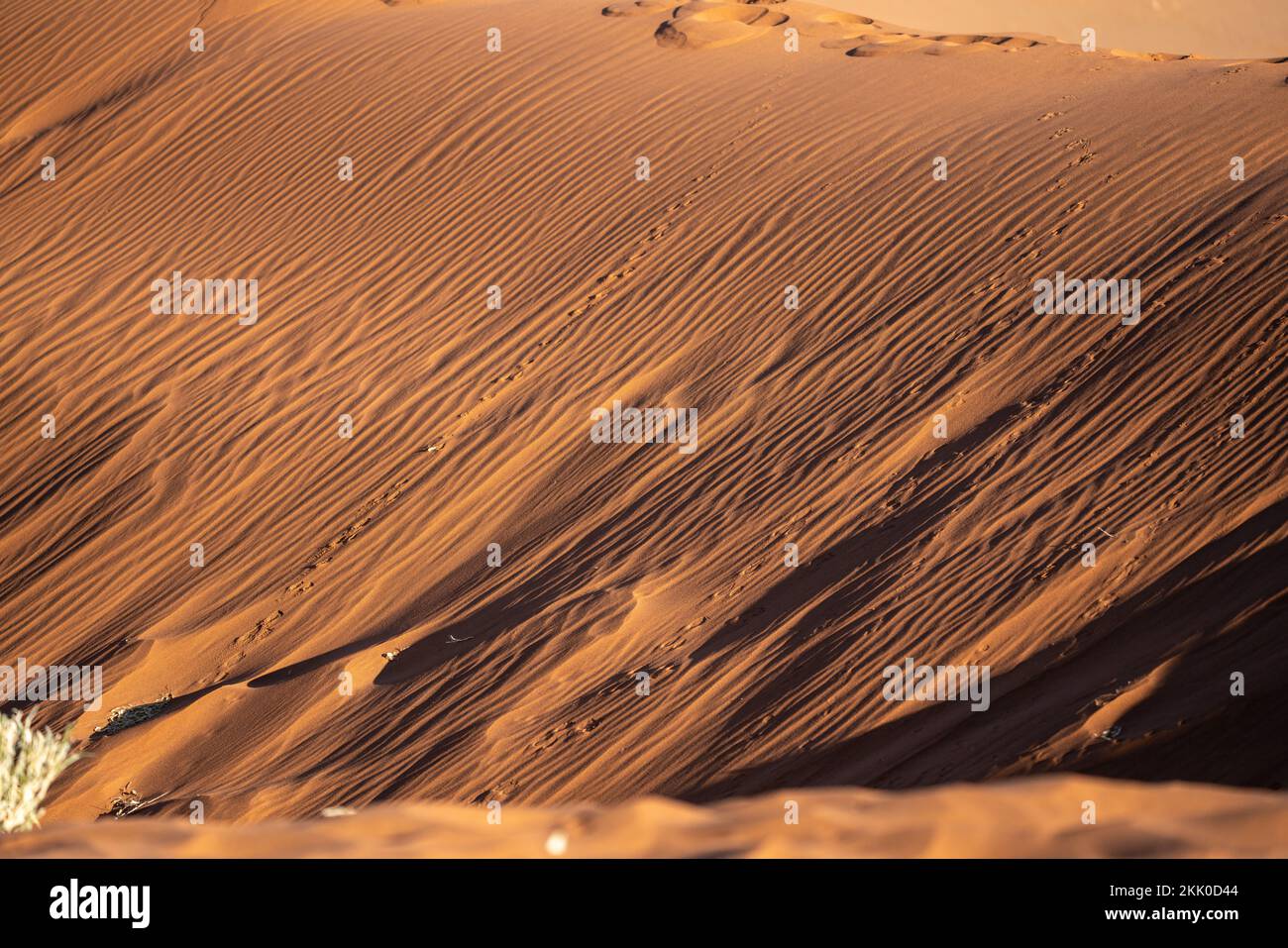 Patterns in the sand dunes of the Namib Desert at sunrise, in Namibia ...