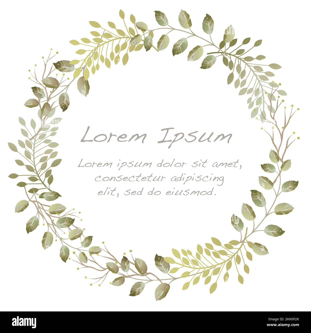 Vector Round Watercolor Botanical Frame Isolated On A White Background ...