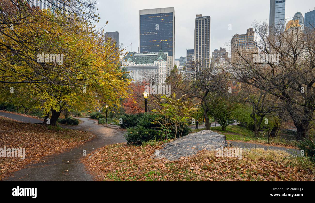 Central Park, New York City in autumn on rainy morning Stock Photo - Alamy