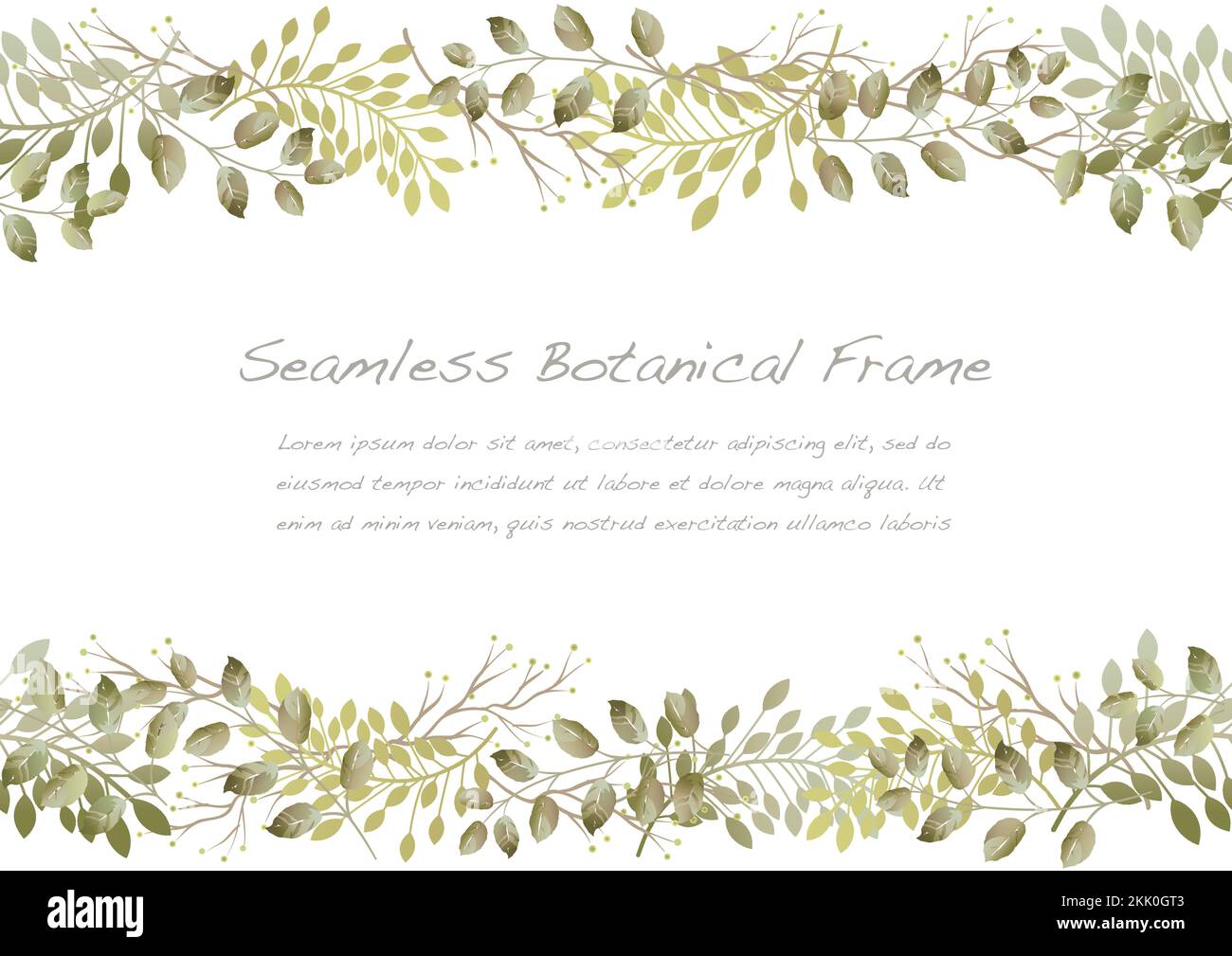 Watercolor Seamless Botanical Frame Isolated On A White Background ...